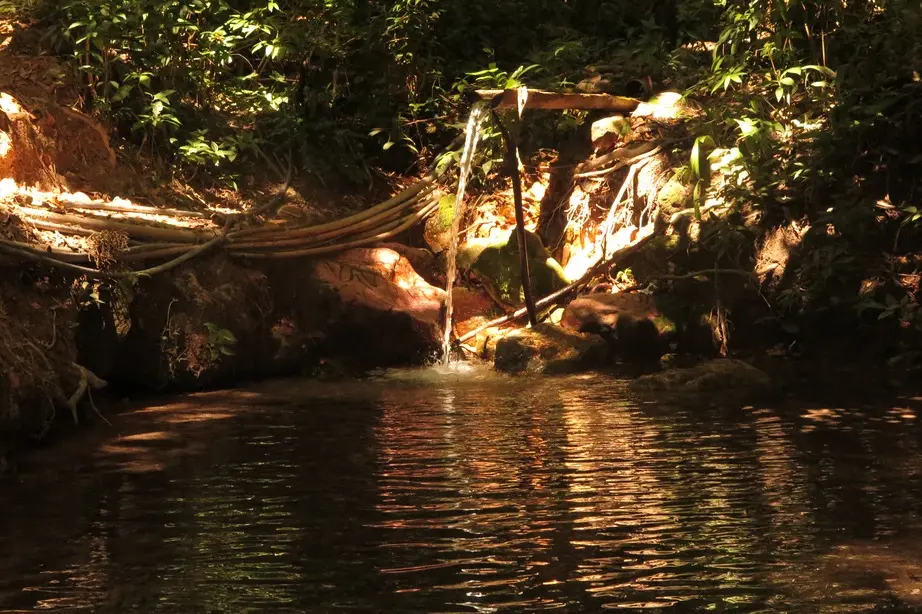 O que ver na região do Cariri - Verso - Diário do Nordeste