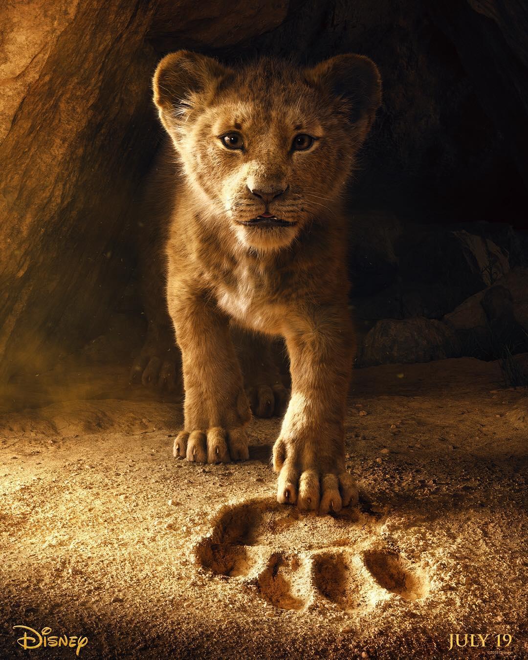 Conheça filhote que ajudou a Disney a criar o Simba em novo 'Rei Leão ...