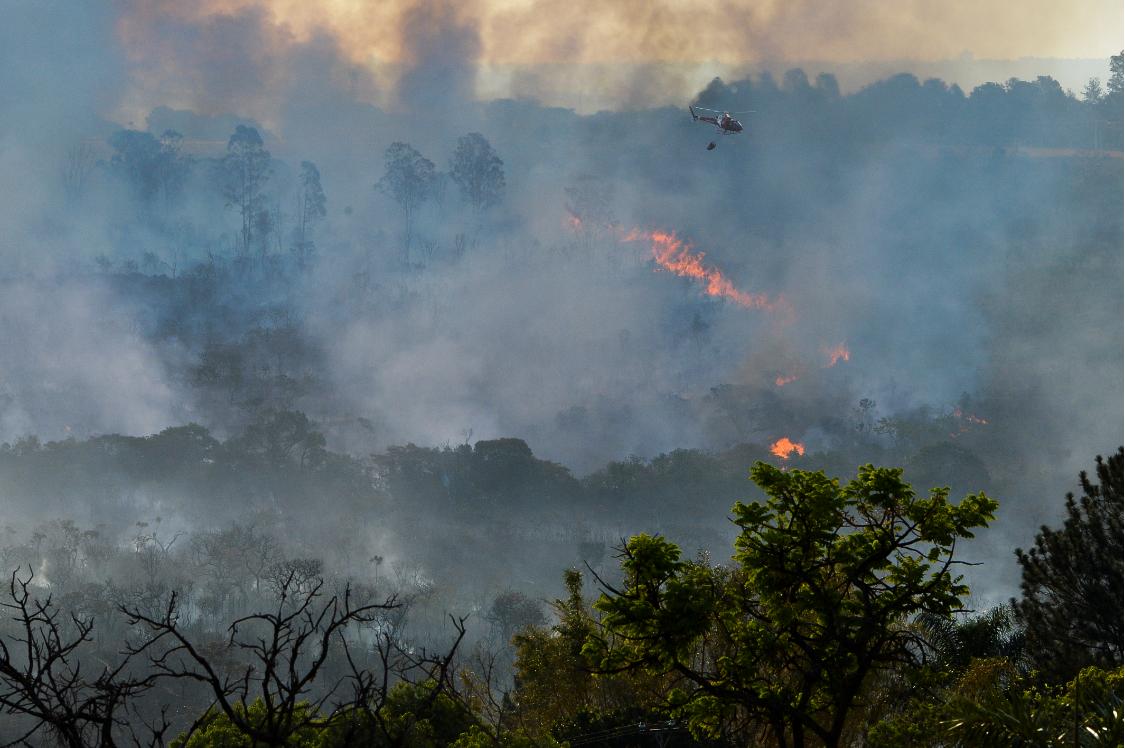 Queimadas dobram no Cerrado e diminuem 19,6% na Amazônia - País ...
