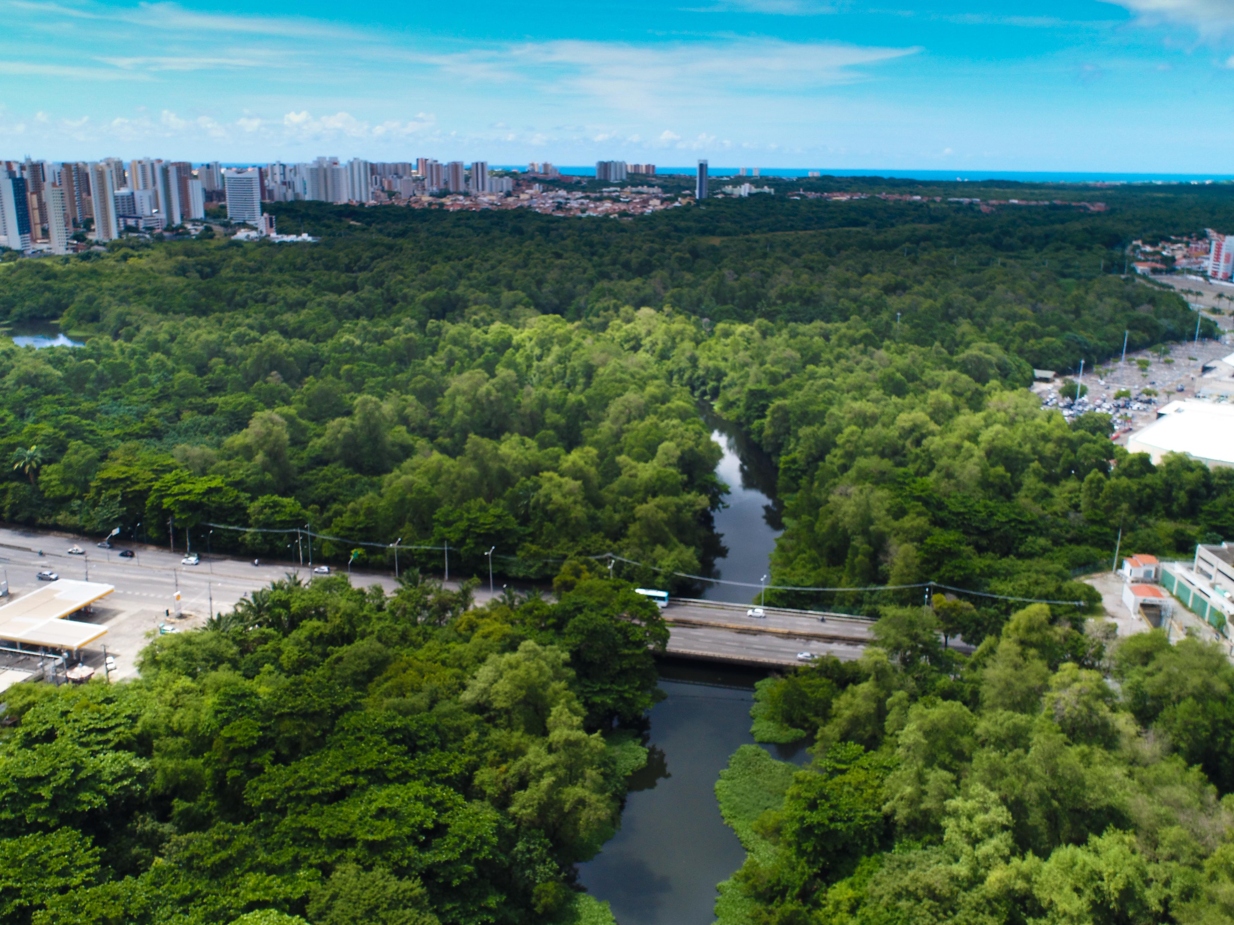 Plano de abertura do Parque do Cocó está em análise; manutenção do ...