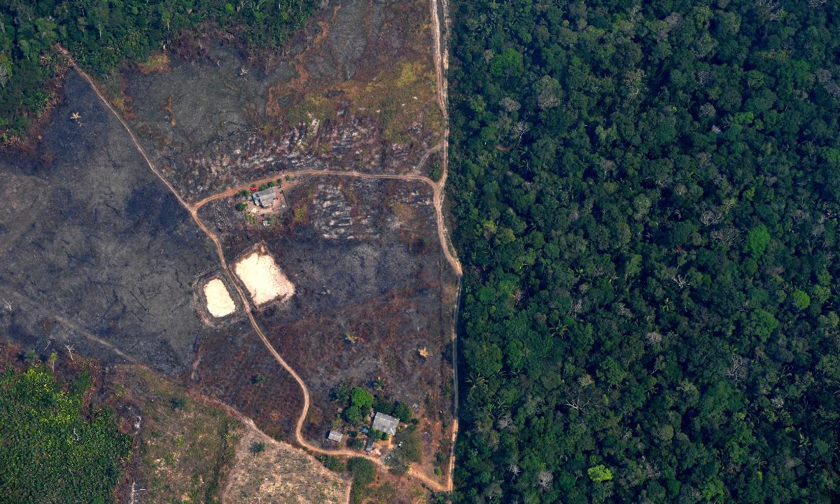 Desmatamento na Amazônia bate recorde no primeiro semestre de 2020 ...