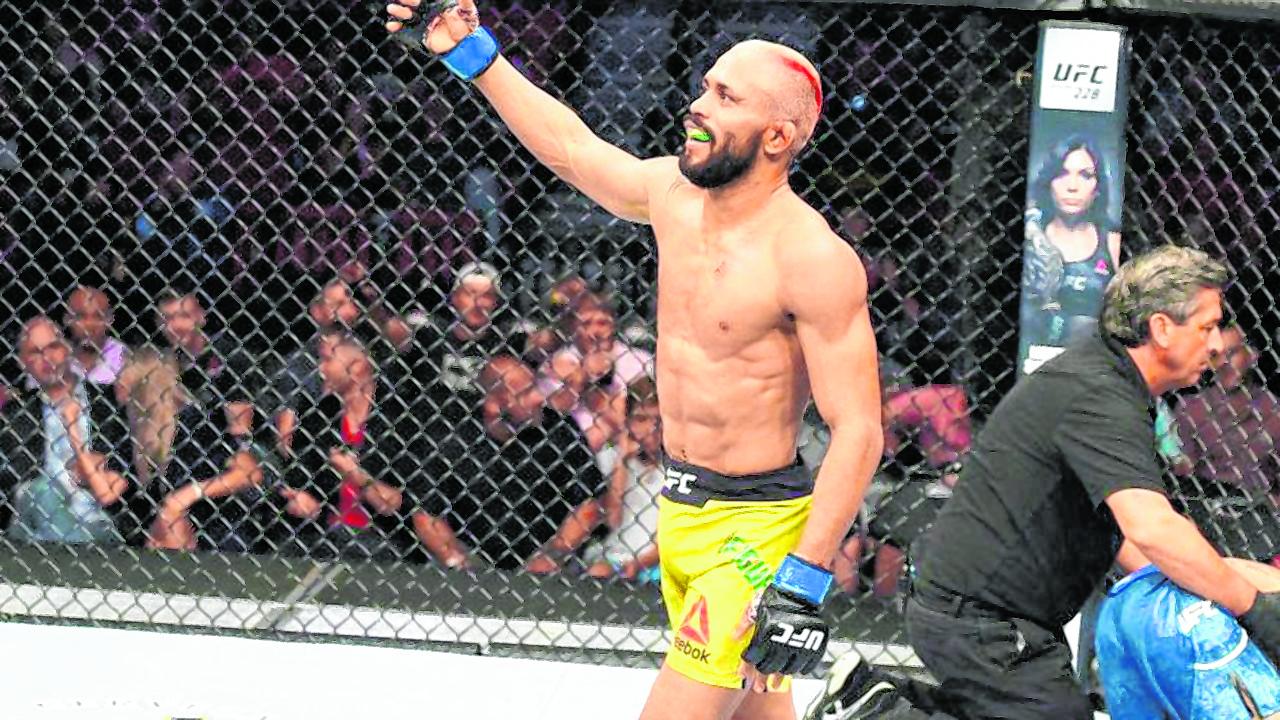 UFC volta à Ilha da Luta, e brasileiro luta pelo cinturão: veja card e ...