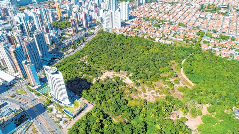 Parques do Cocó e Botânico abrem para atividades individuais a partir ...