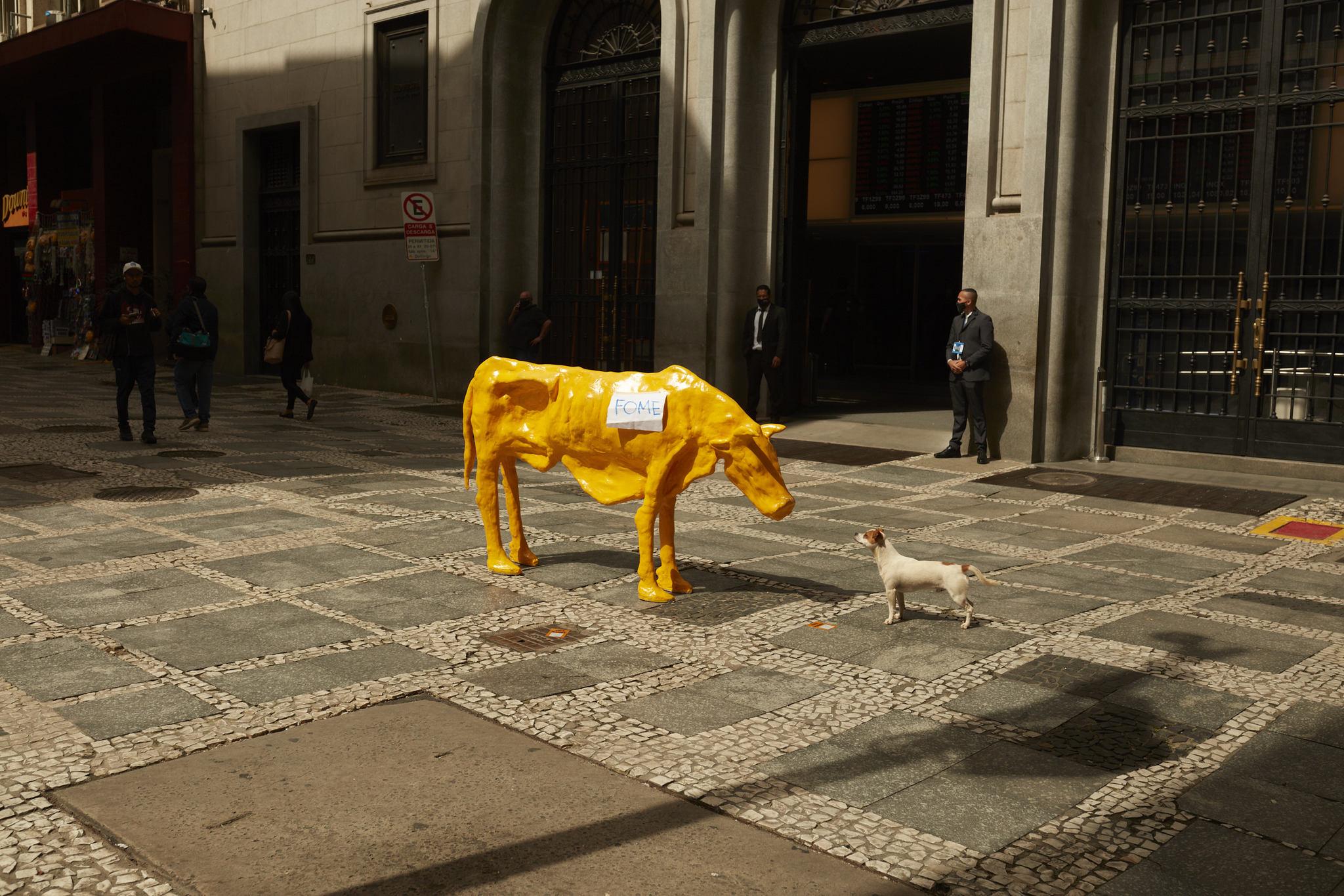Quem é a artista cearense que instalou a 'vaca magra' na Bolsa de ...