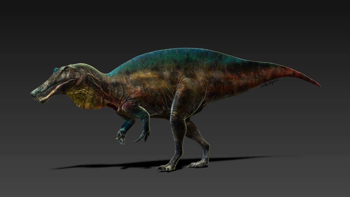 Conheça 6 espécies de dinossauros que já viveram no Sertão cearense ...