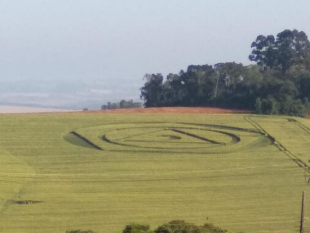 Agroglifos em Santa Catarina: círculos em plantações são vistos na ...