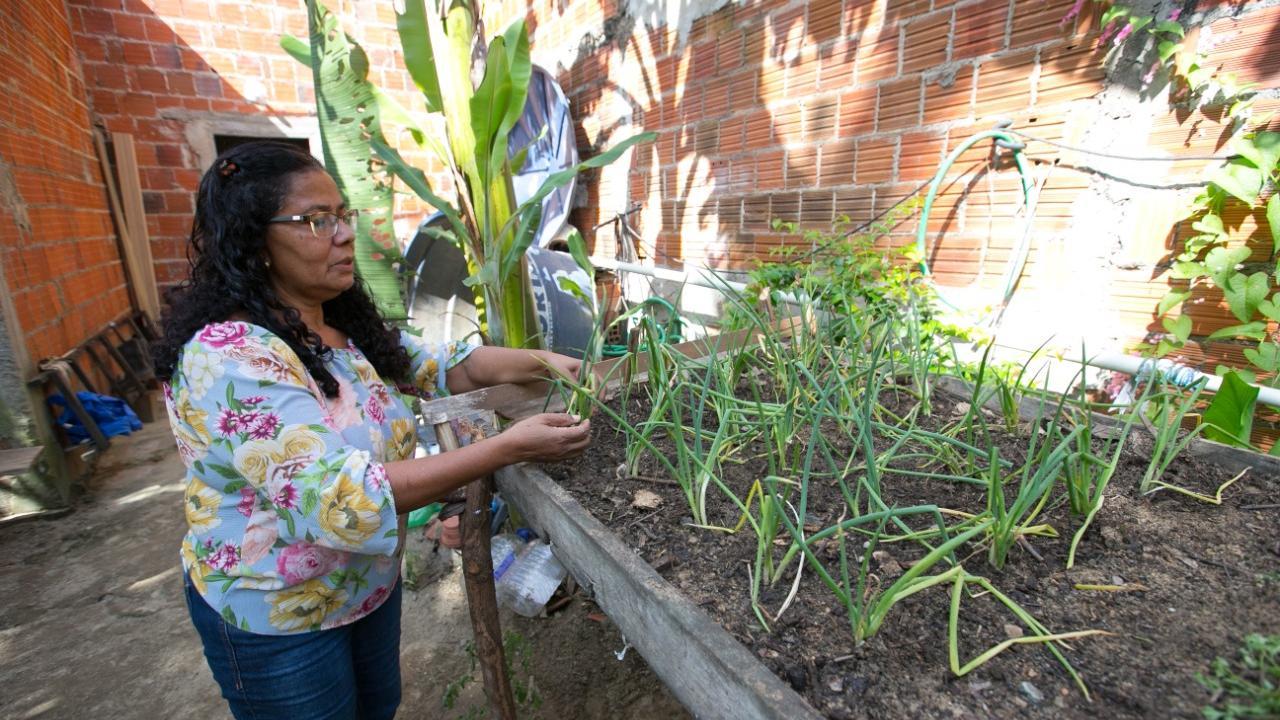 Vilma Freire, ex-Adagri, cotada para comandar SDA - Egídio Serpa ...