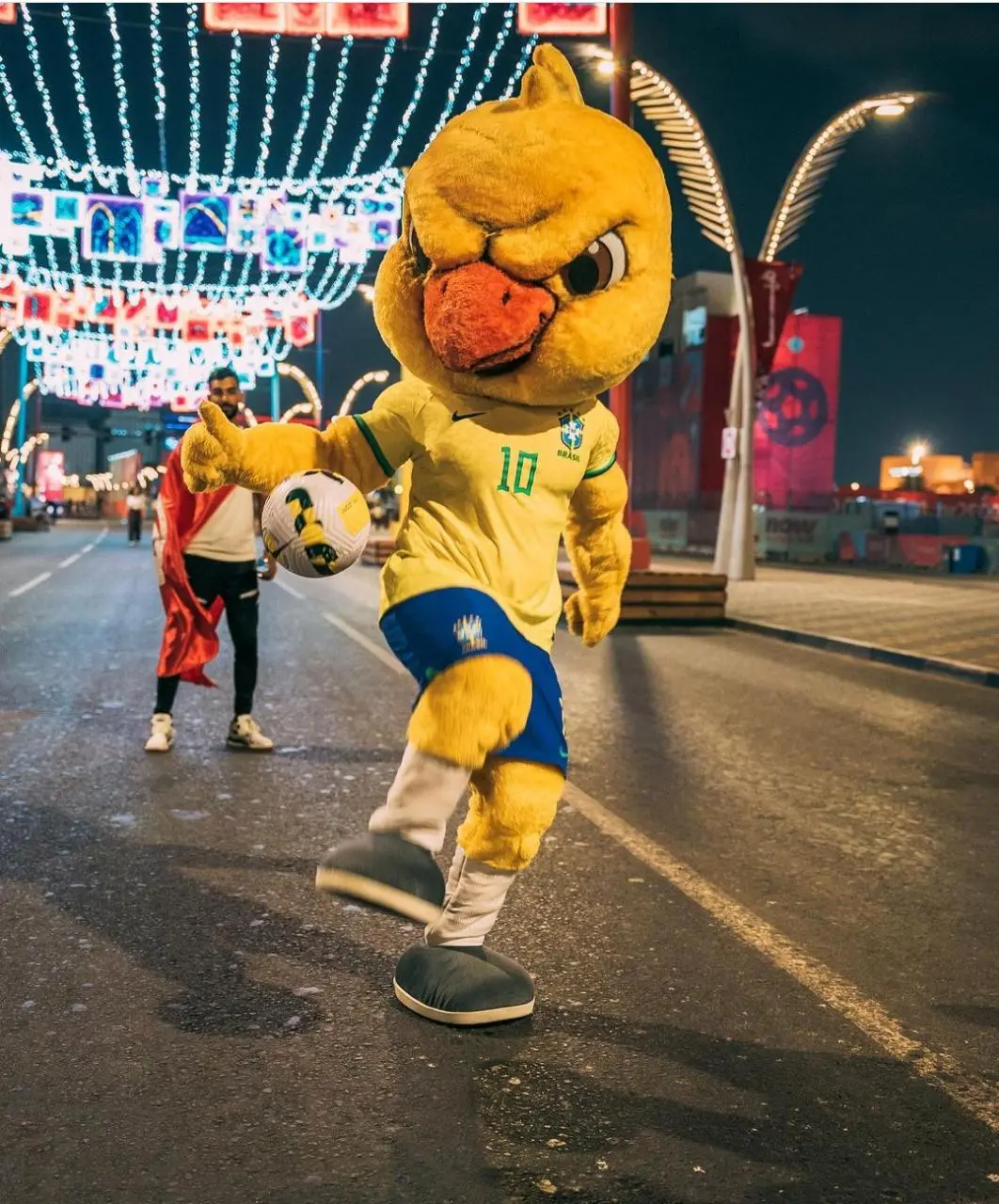 Canarinho Pistola é proibido de participar dos jogos do Brasil na Copa ...