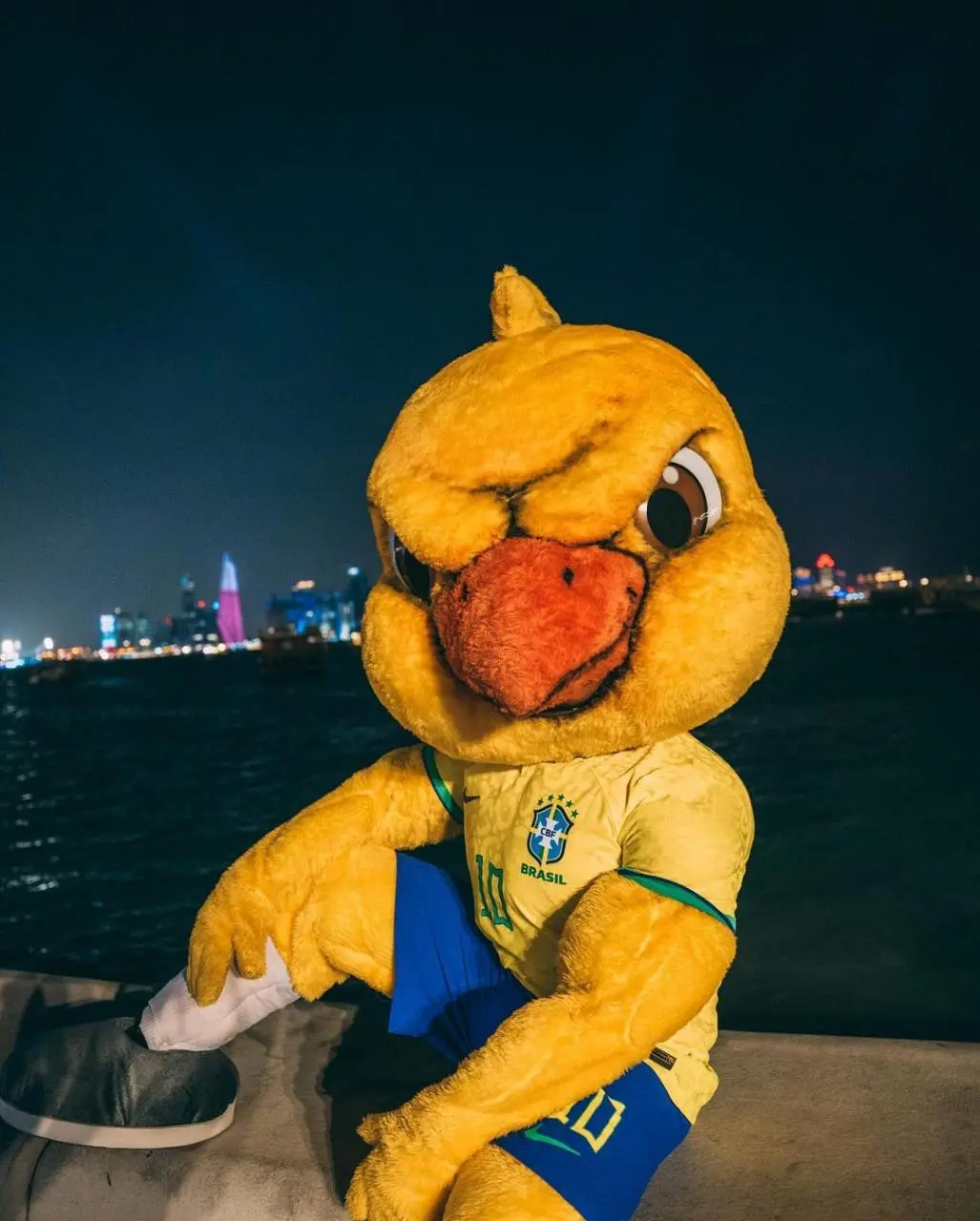 Canarinho Pistola é proibido de participar dos jogos do Brasil na Copa ...