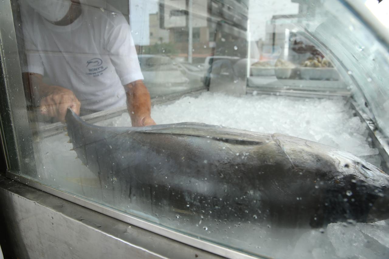 Ceará mantém liderança nacional nas exportações de pescados em 2022 ...