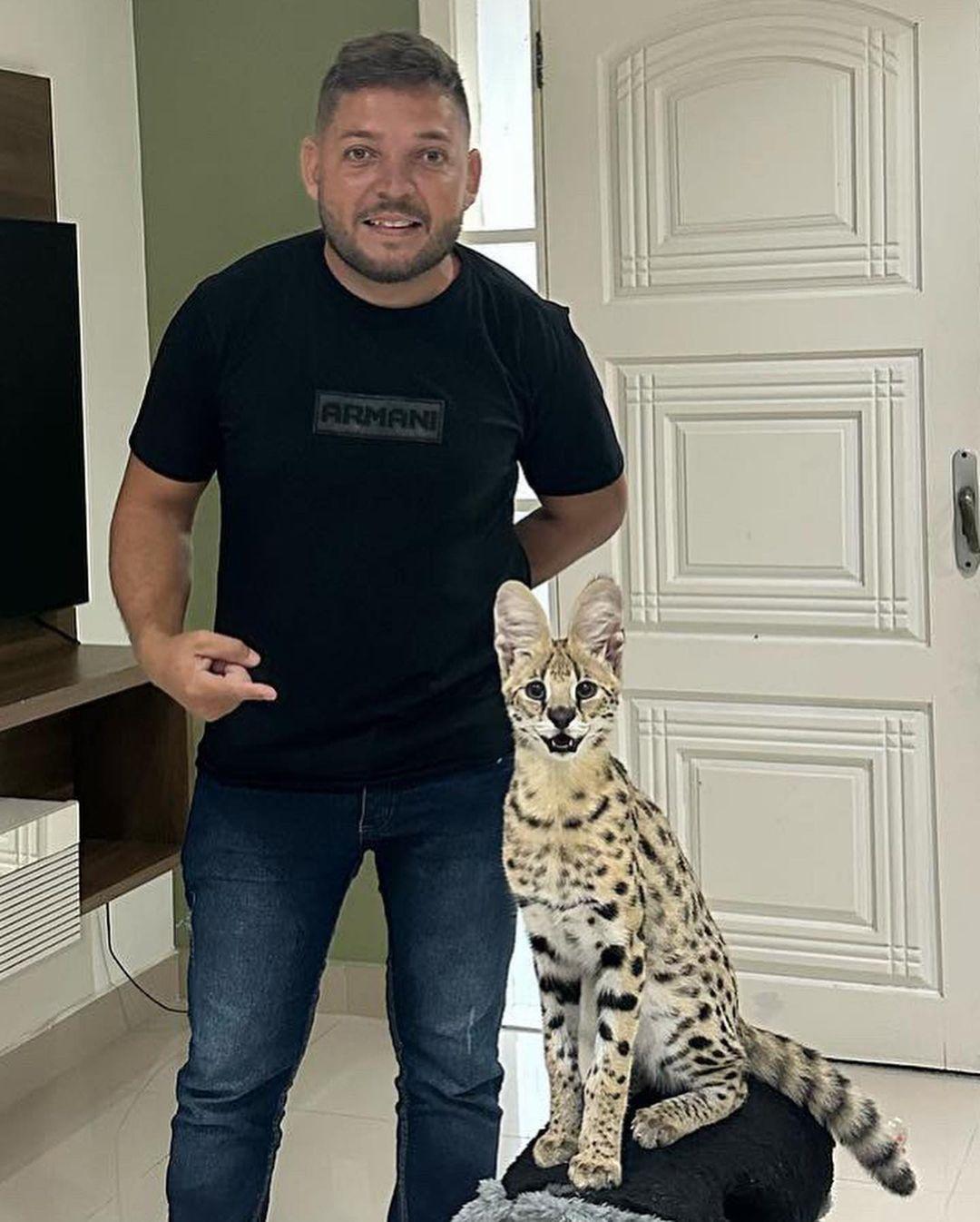 Rapper MC Oruam tem gato de estimação que pode custar R$ 100 mil ...