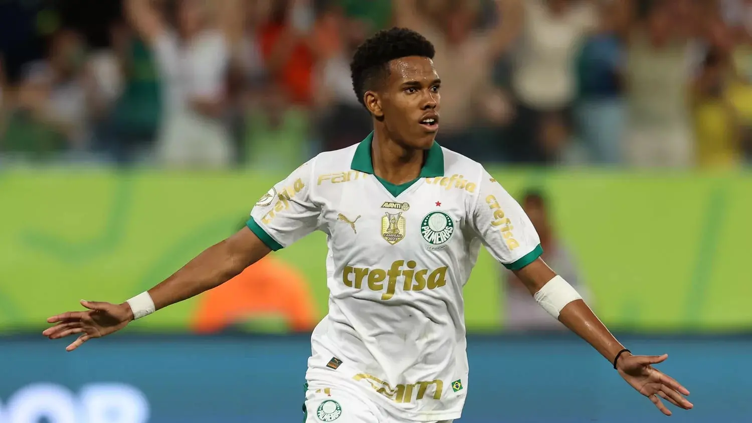 A tara da grana - Wilton Bezerra - Diário do Nordeste