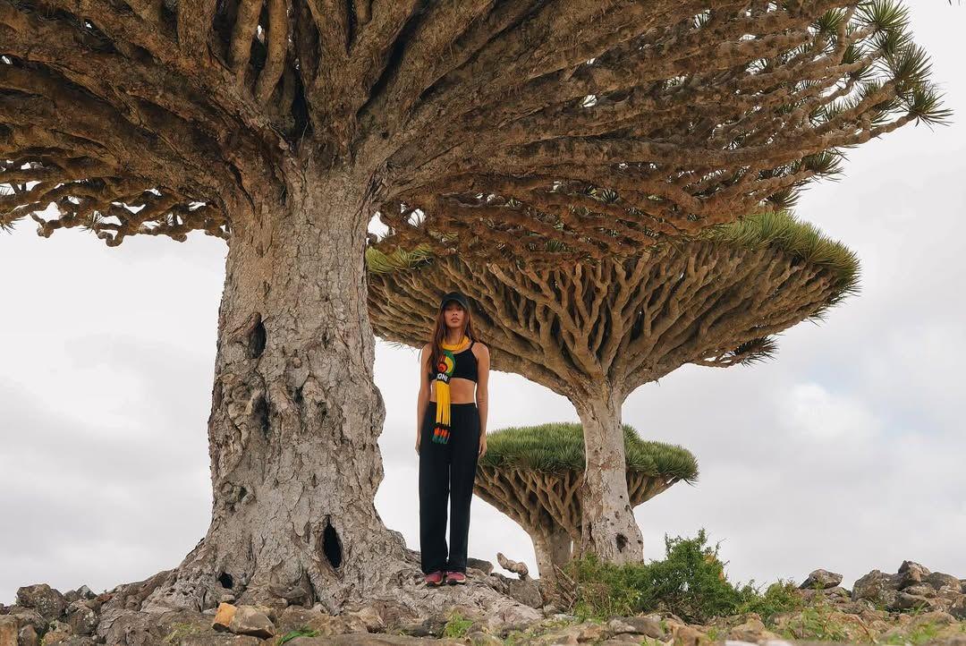 Anitta passa férias nas exóticas Ilhas Socotra, no Iêmen; conheça o ...