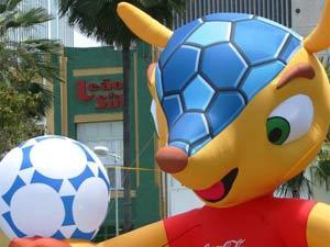 Mascote da Copa, tatu-bola poderá ser extinto em 50 anos - Região ...